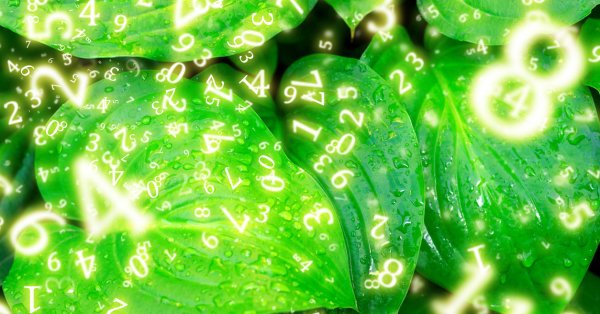 Нумерологична прогноза за 27 август - Az-jenata