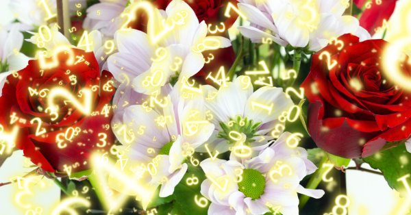 Нумерологична прогноза за 24 юни - Az-jenata