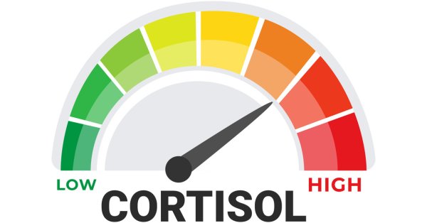 5 хитри начина да понижите кортизола без лекарства - Az-jenata