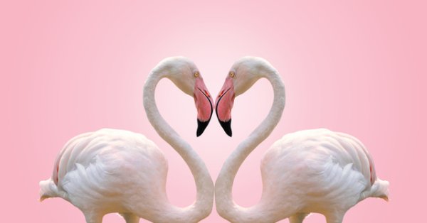 Любовен хороскоп за 7 – 13 май 2018 - Az-jenata