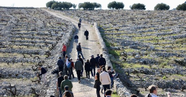 Българското розе Face 2 Face F2f спечели златен медал на световен конкурс Az Jenata